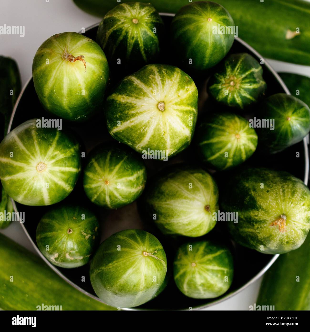 Cucumber plant bucket hi-res stock photography and images - Alamy