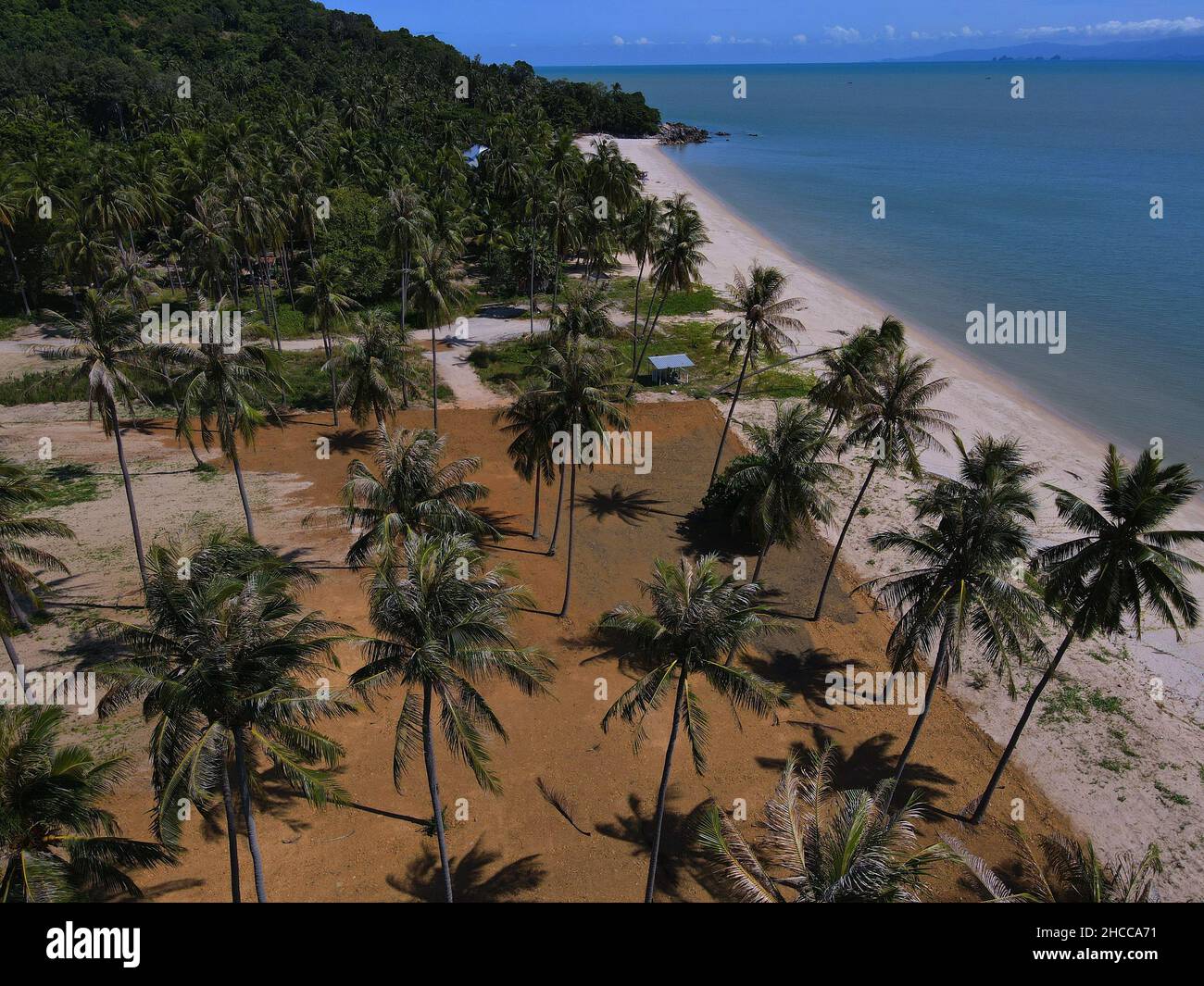 Wood node hi-res stock photography and images - Alamy