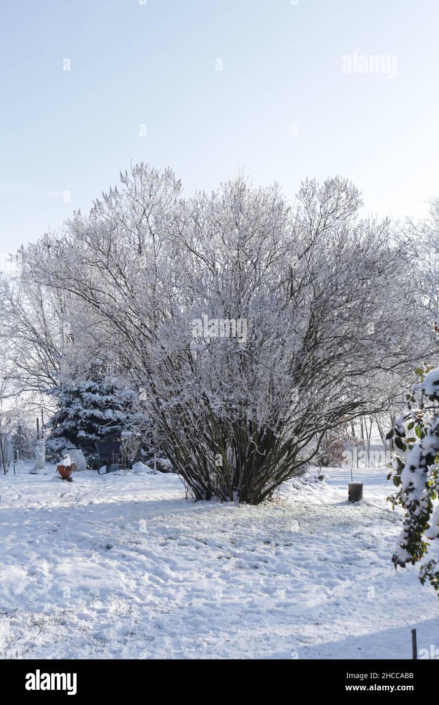 Polish winter landscapes in the snow buffer zone Stock Photo - Alamy