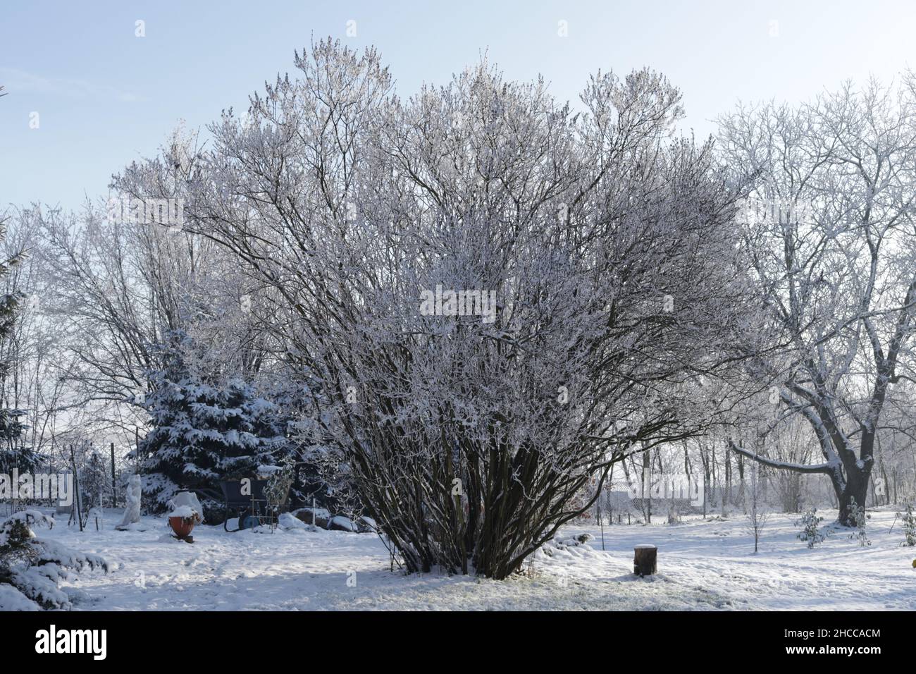 Polish winter landscapes in the snow buffer zone Stock Photo - Alamy