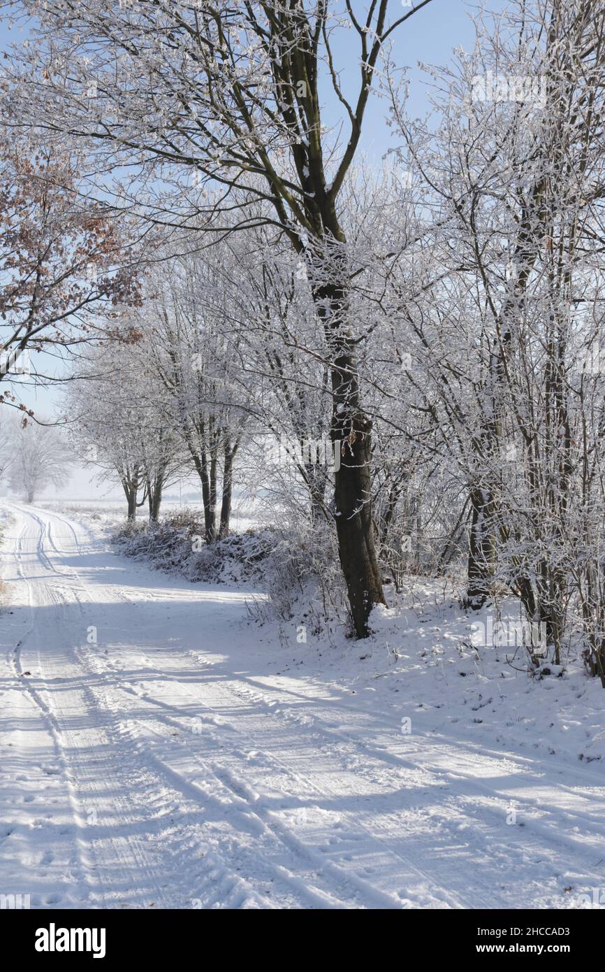 Polish winter landscapes in the snow buffer zone Stock Photo - Alamy