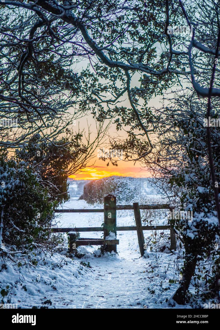 Snow lies on footpath hi-res stock photography and images - Alamy