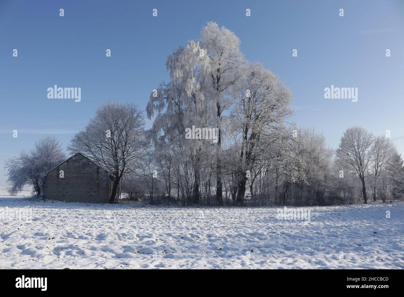 Polish winter landscapes in the snow buffer zone Stock Photo - Alamy