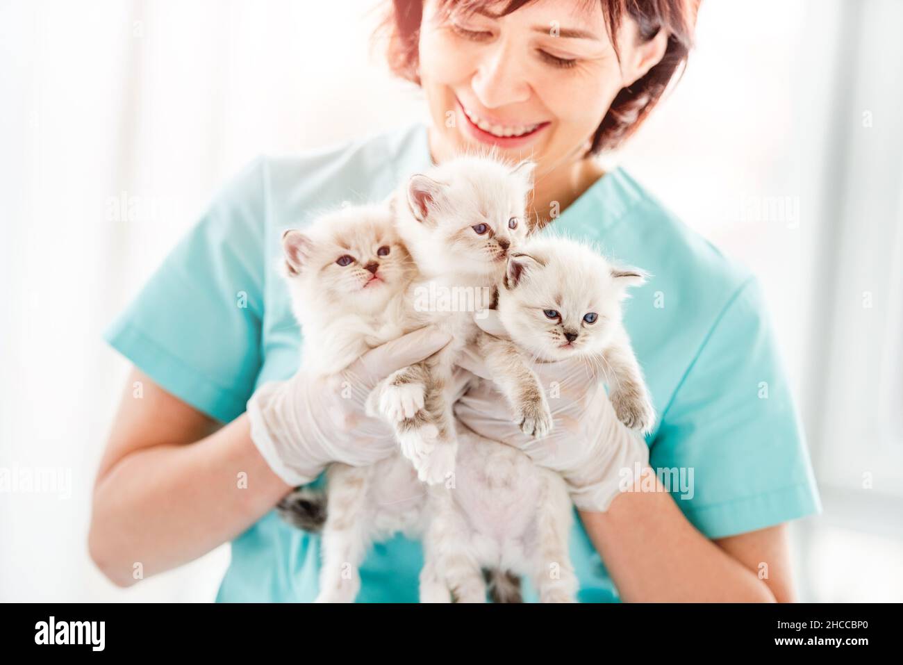 Smiling veterinarian holding small kitten hi-res stock photography and ...