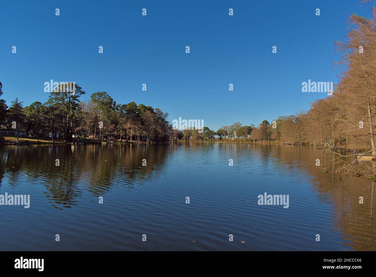 Bayou scenery hi-res stock photography and images - Alamy