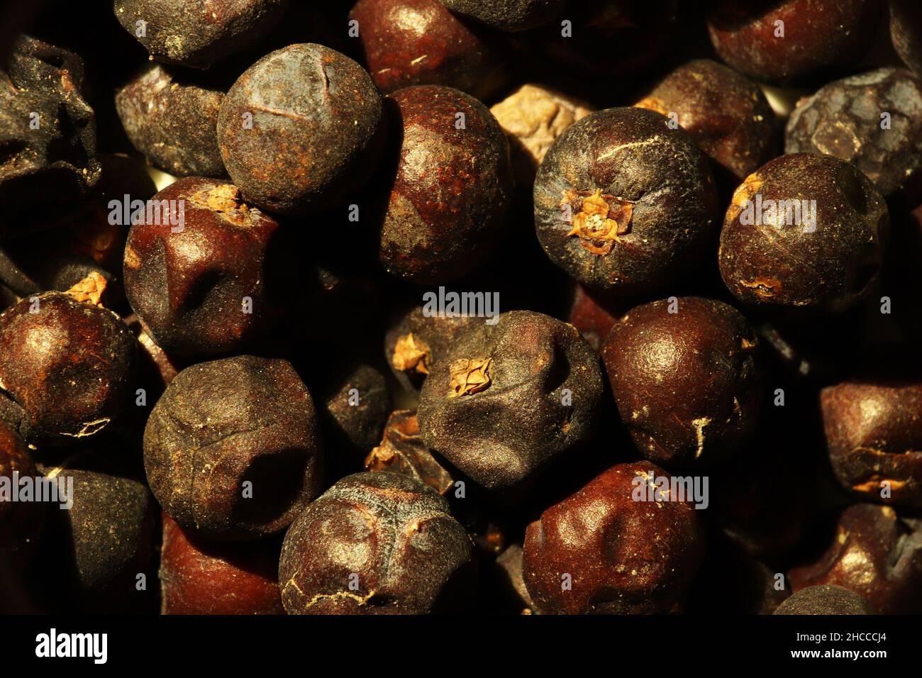 Photography of juniper berries pattern for food background Stock Photo ...