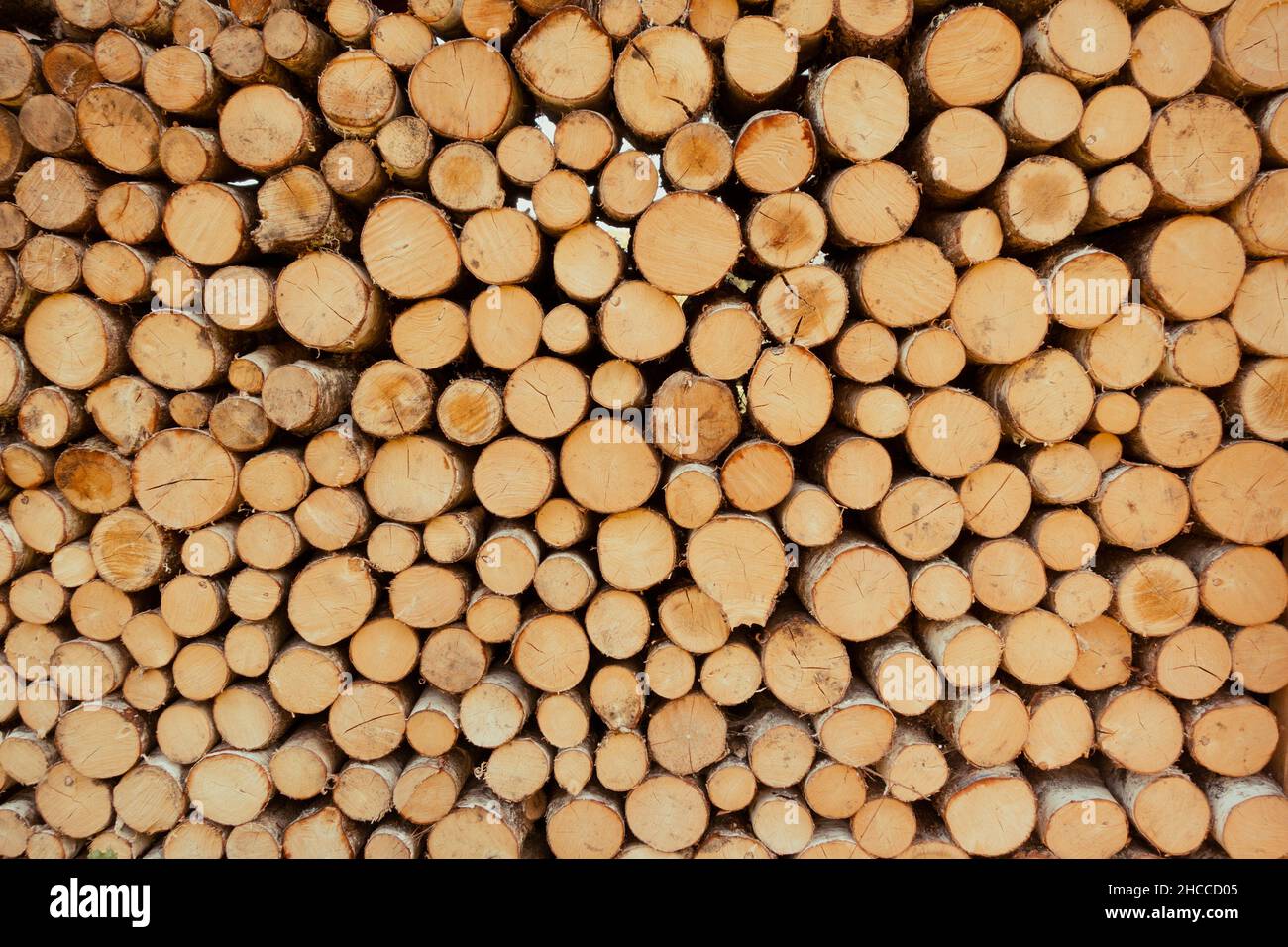 Stack of tree trunks. Texture background wallpaper Stock Photo - Alamy