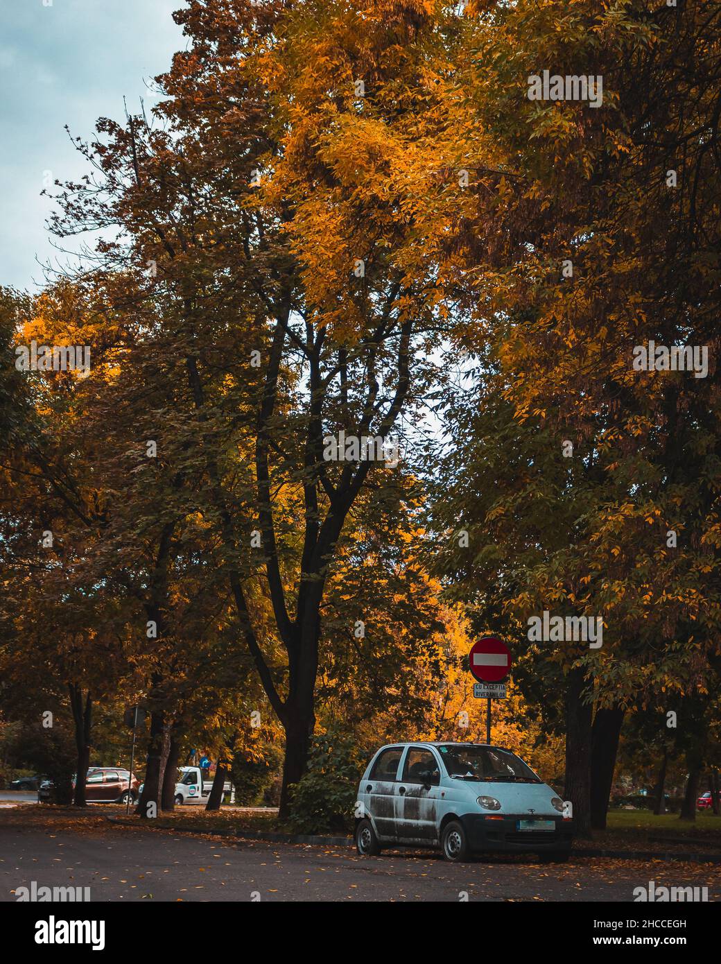 Car parked under trees hi-res stock photography and images - Alamy
