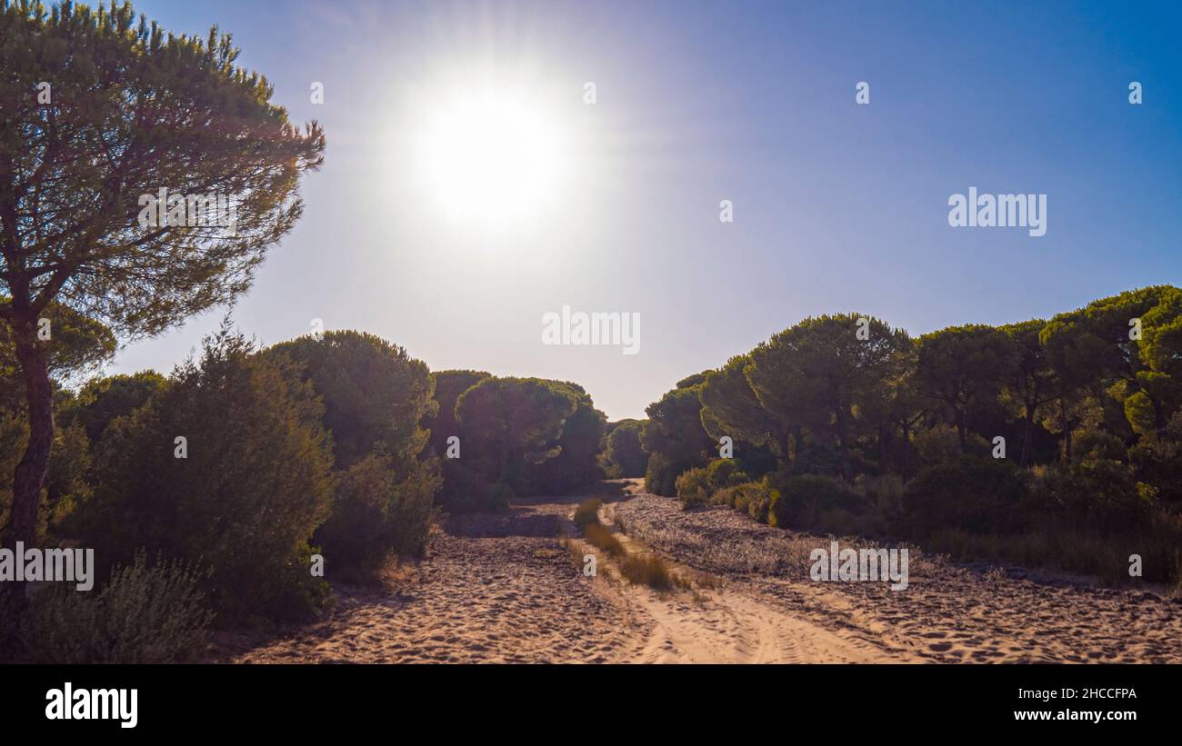 Donana National Park in Spain A UNESCO World Heritage Site Stock Photo ...