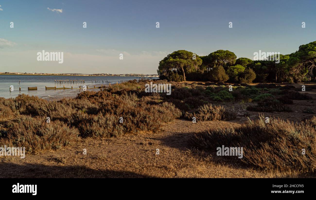 Donana National Park in Spain A UNESCO World Heritage Site Stock Photo ...