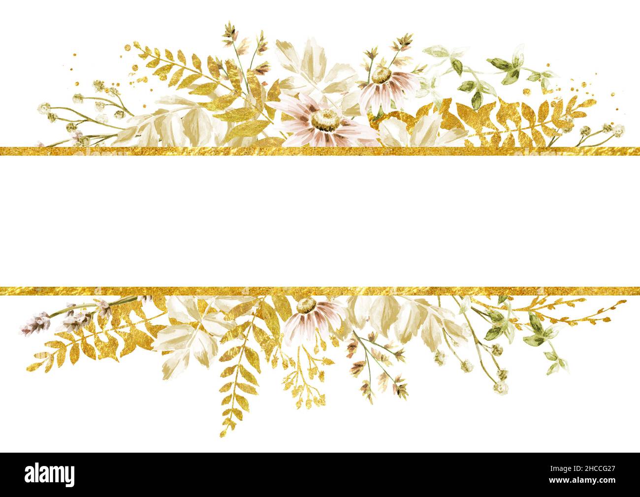 Wild grasses wildflowers summer Cut Out Stock Images & Pictures - Alamy