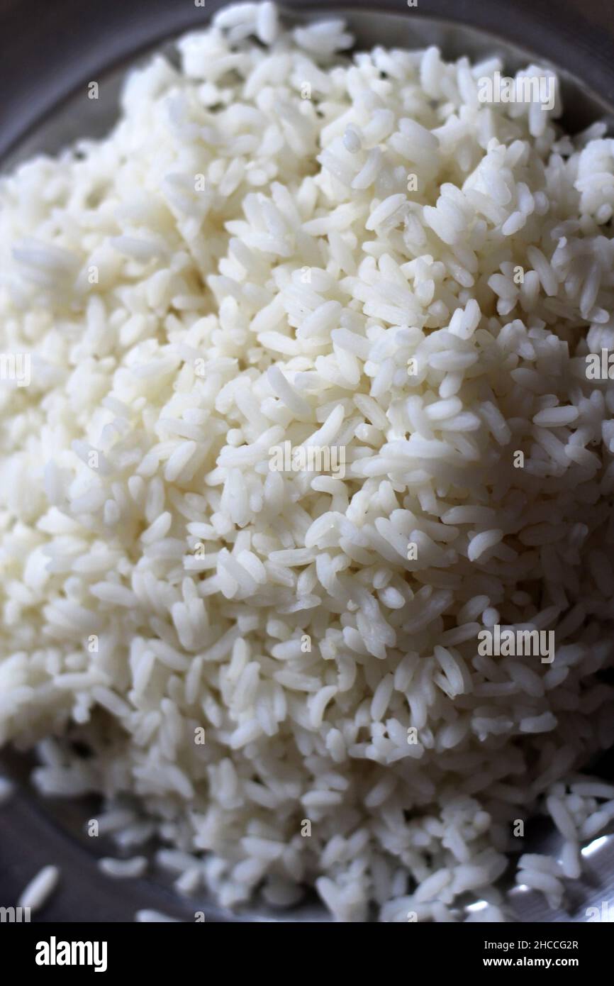 Rice plant tree hi-res stock photography and images - Alamy