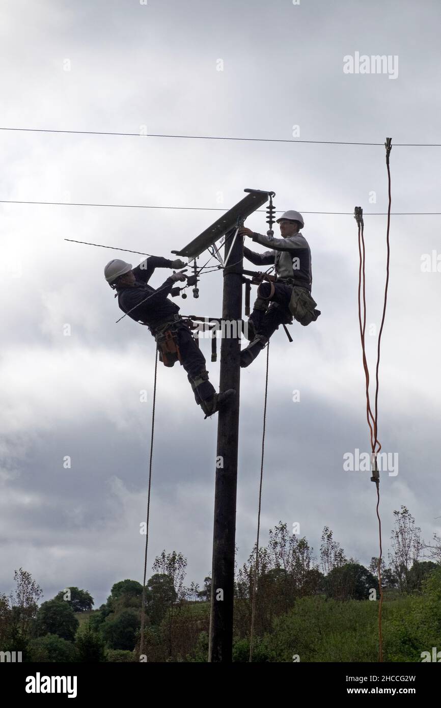 Power workers working on utility pole and connecting electricity lines ...