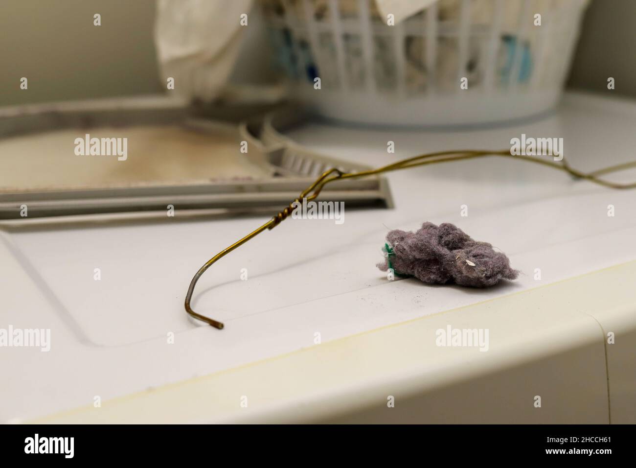 Remove lint hi-res stock photography and images - Alamy