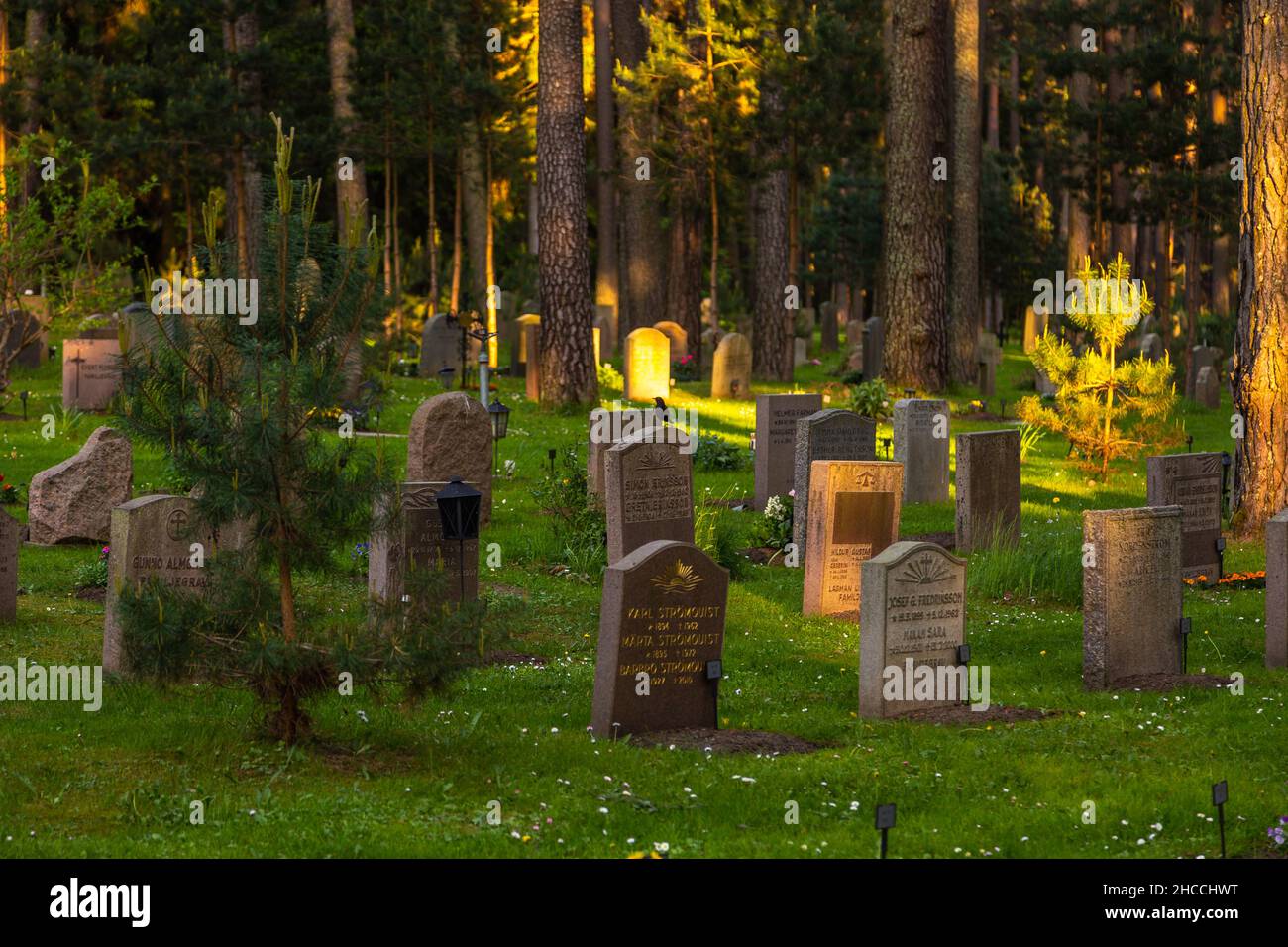 Woodland cemetery stockholm hi-res stock photography and images - Alamy