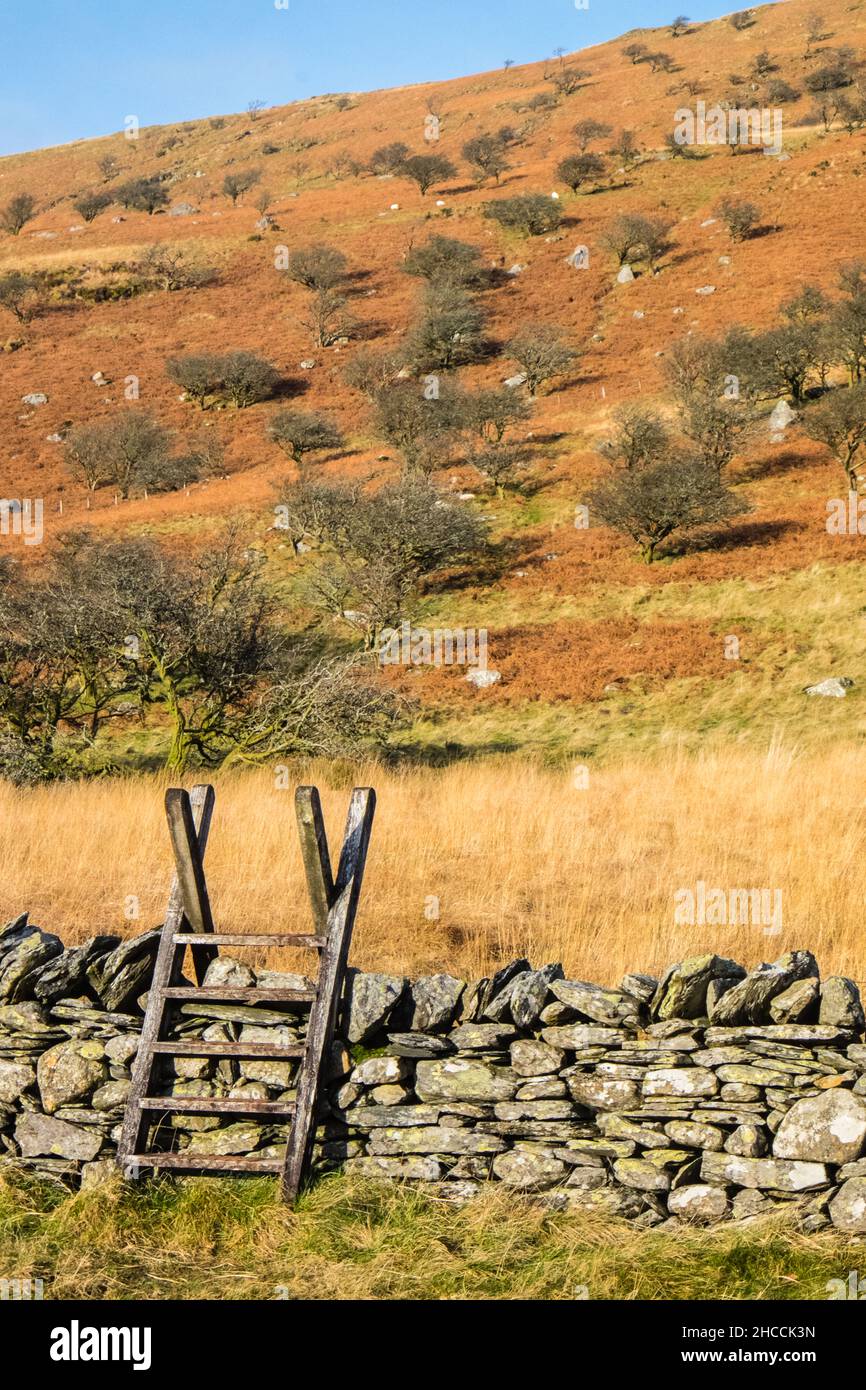 Wooden,wood,Ladder Stile,stile,over,stone,wall,on,hike,hiking,trek ...
