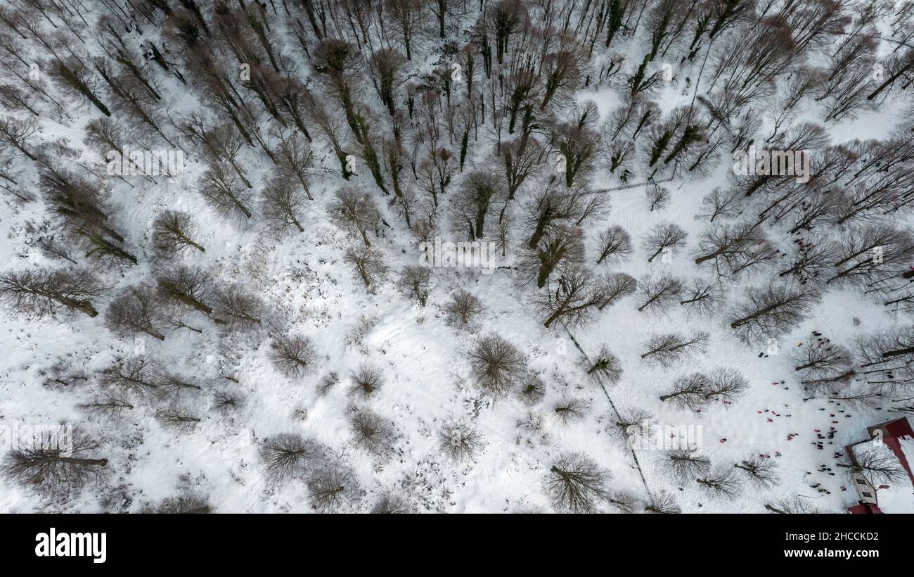 Winter landscape with snow. Beautiful forest top view on snowy day ...
