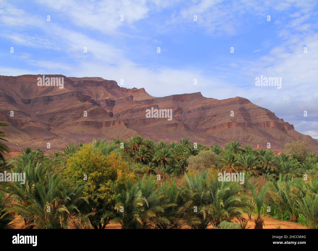 Morocco, The Dades Valley, also known as Valley of the Roses -Palm ...