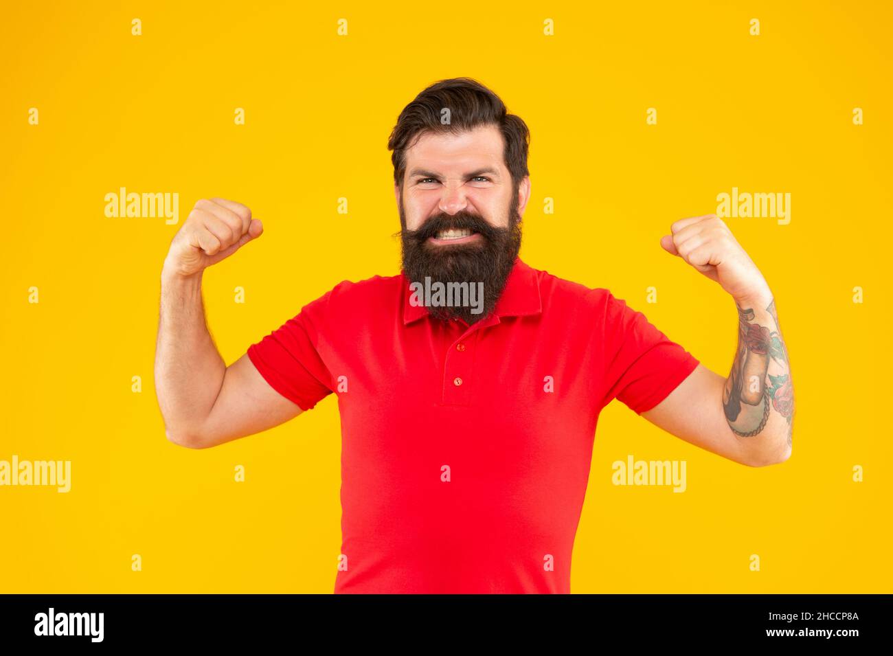 angry guy with beard and hairstyle on yellow background, success Stock ...