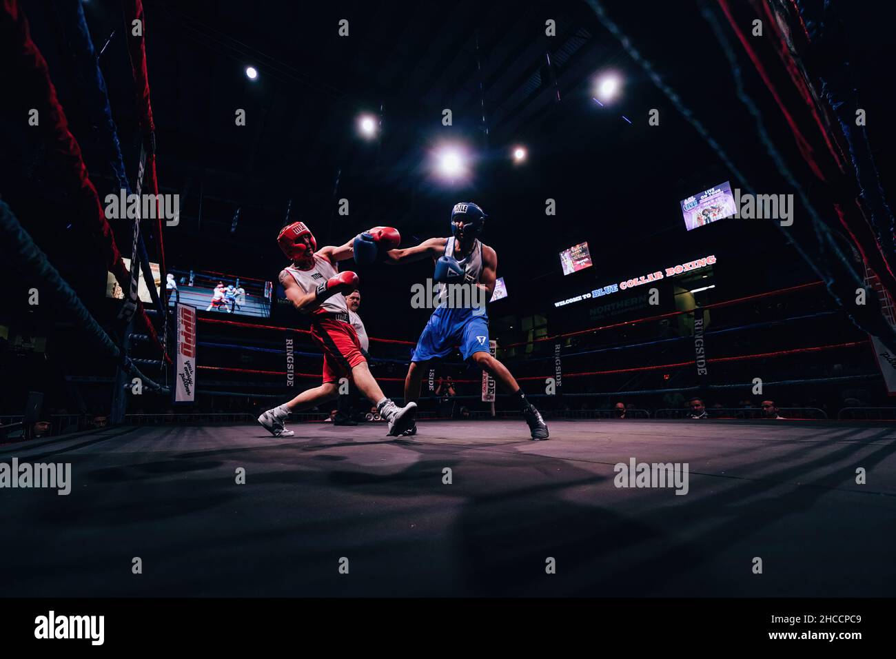 Mike tyson boxing in ring hi-res stock photography and images - Alamy