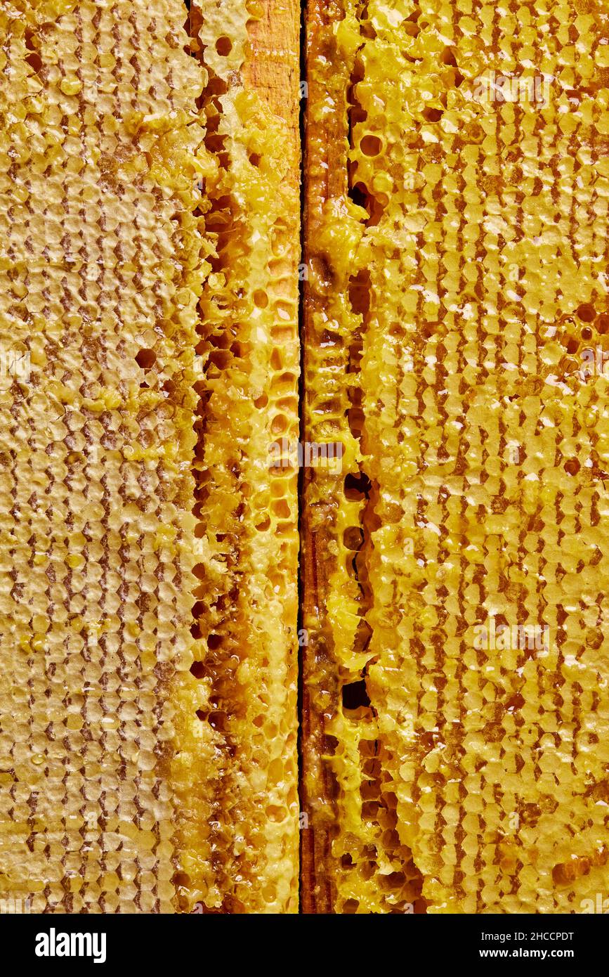 Honeycomb rough hi-res stock photography and images - Alamy