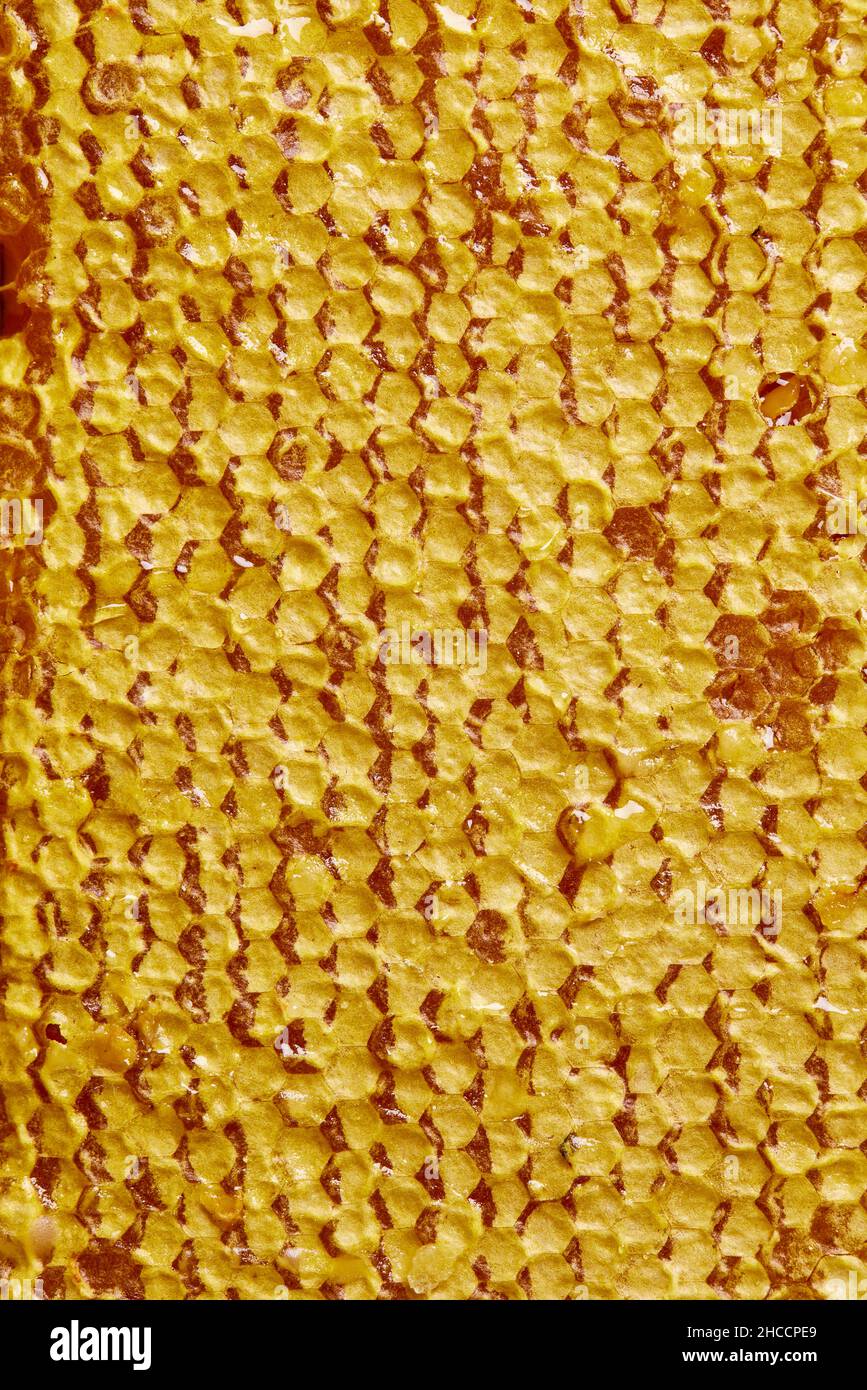 Honeycomb rough hi-res stock photography and images - Alamy