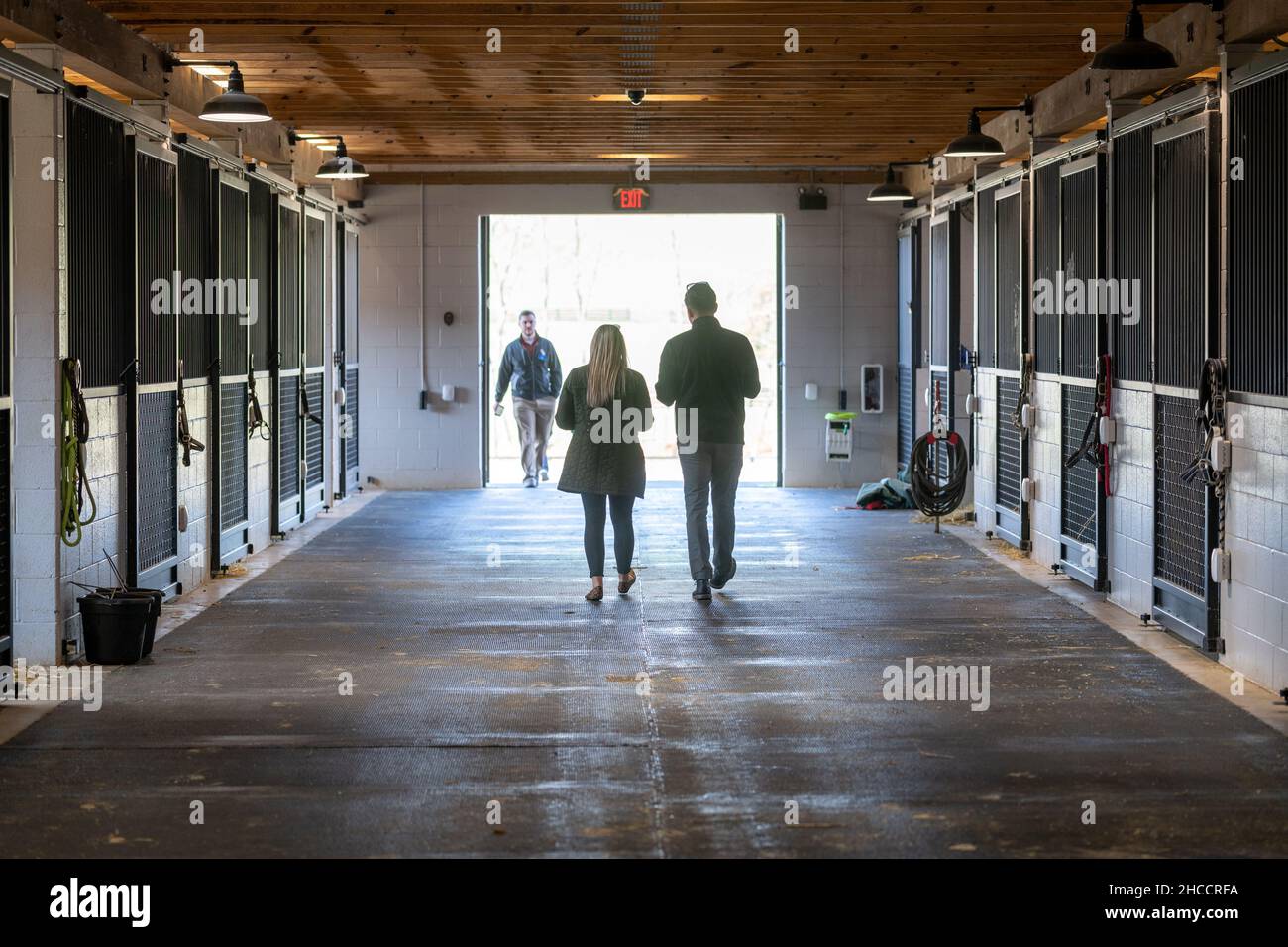 People walking through a horse stable Stock Photo - Alamy