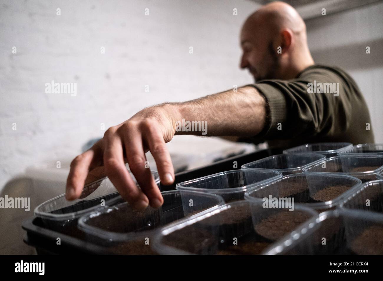 Belgium, Brussels, 2020-11-03. URBI Leaf, an urban farm dedicated to ...