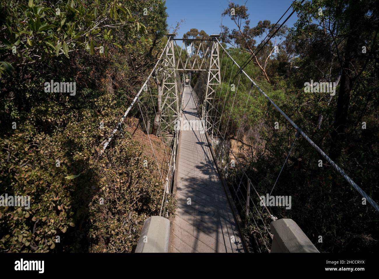 Spruce Street Suspension Bridge Stock Photo - Alamy