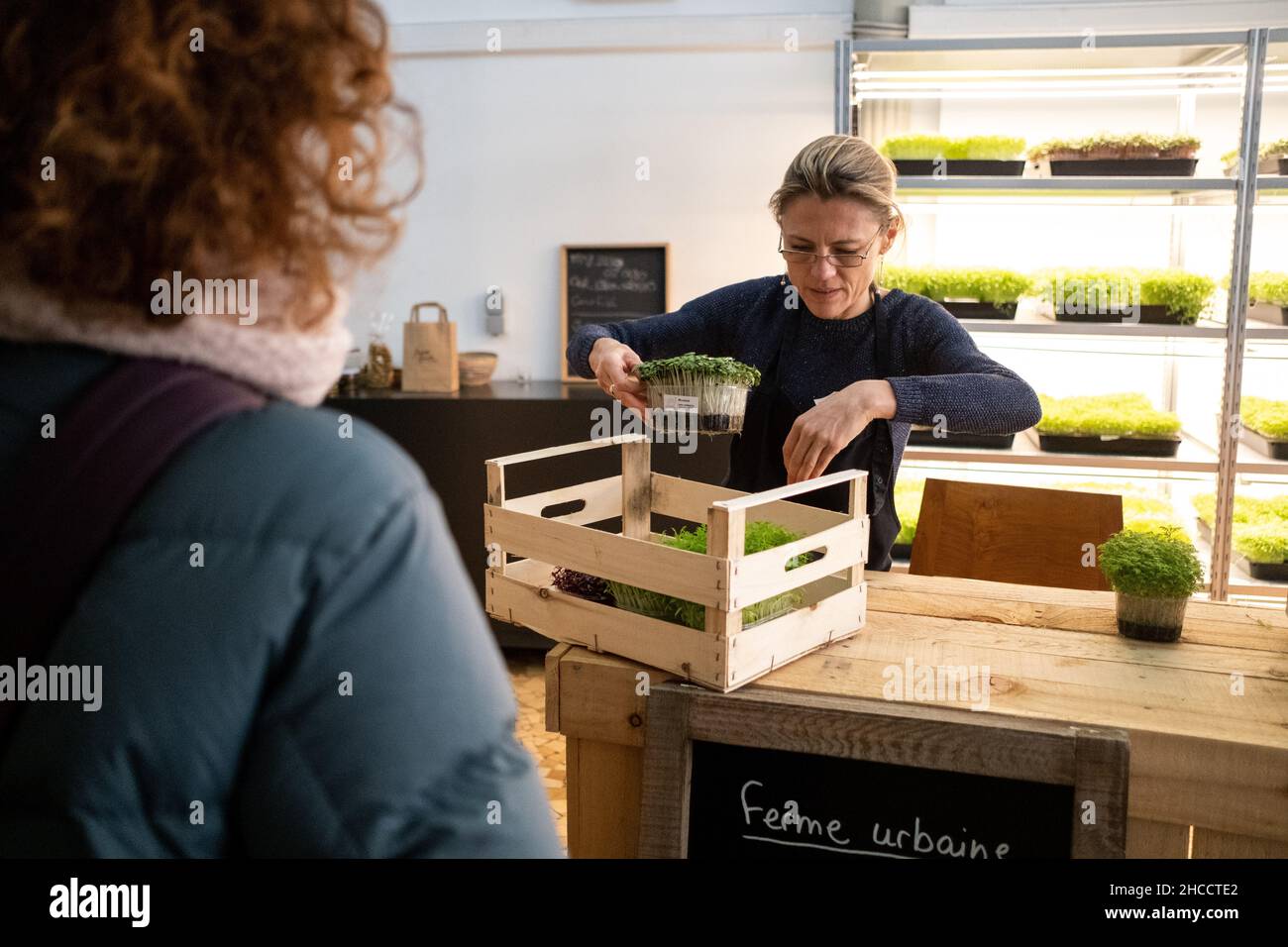 Belgium, Brussels, 2020-11-03. URBI Leaf, an urban farm dedicated to ...