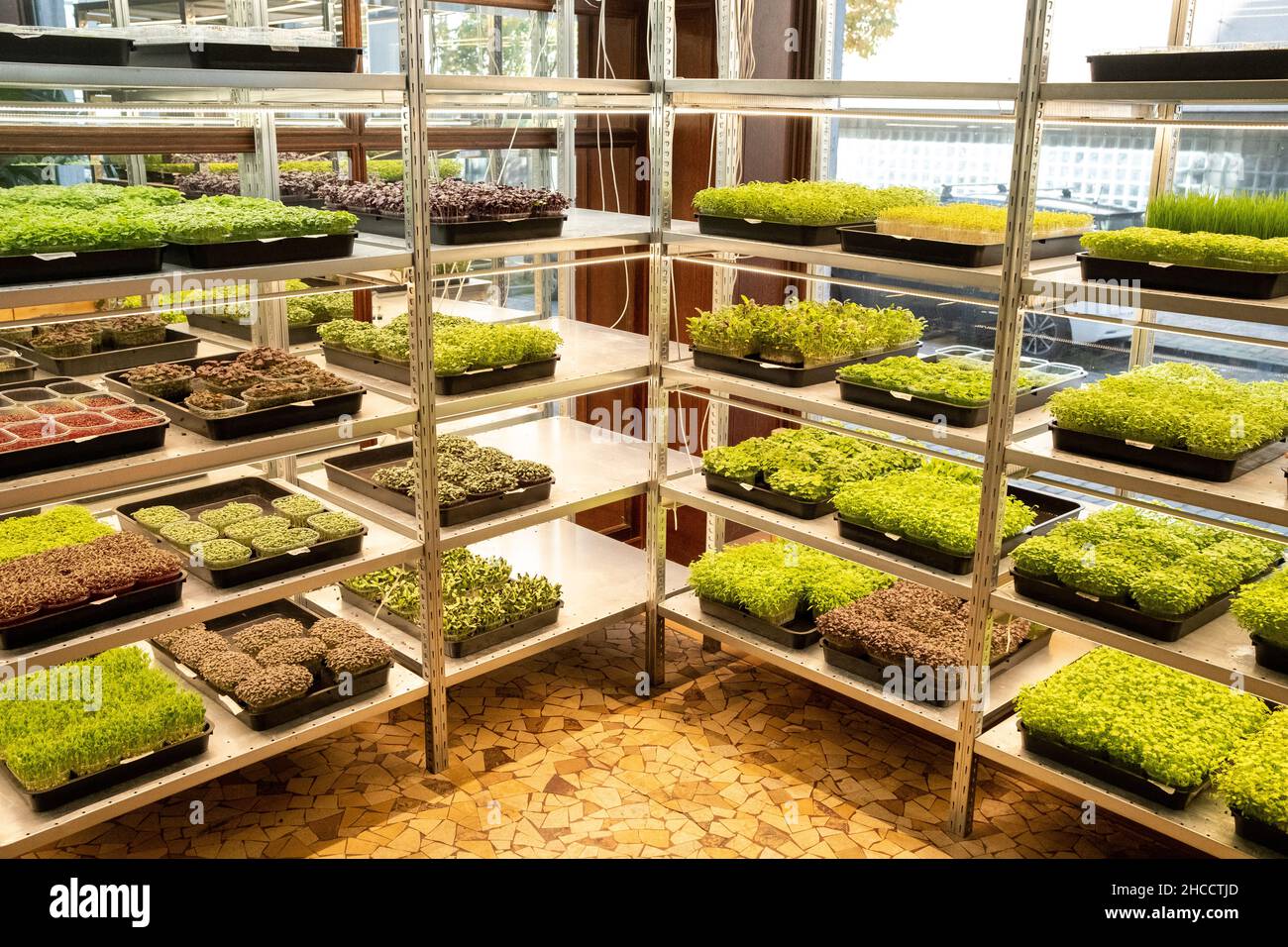 Belgium, Brussels, 2020-11-03. URBI Leaf, an urban farm dedicated to ...