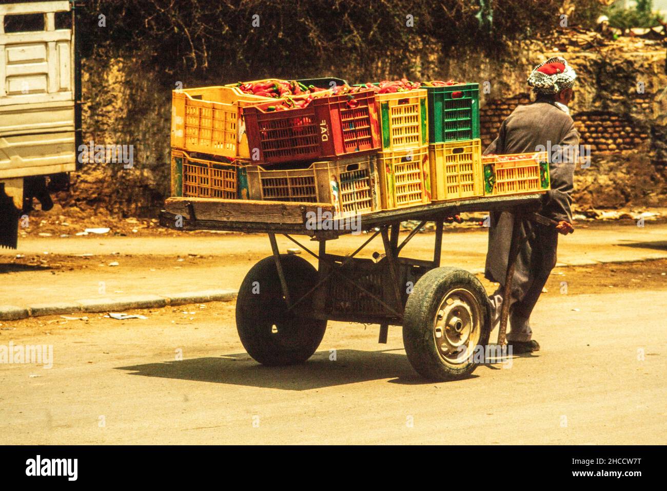 Beauty of rural Goa. High resolution intimate recollection of idyllic ...