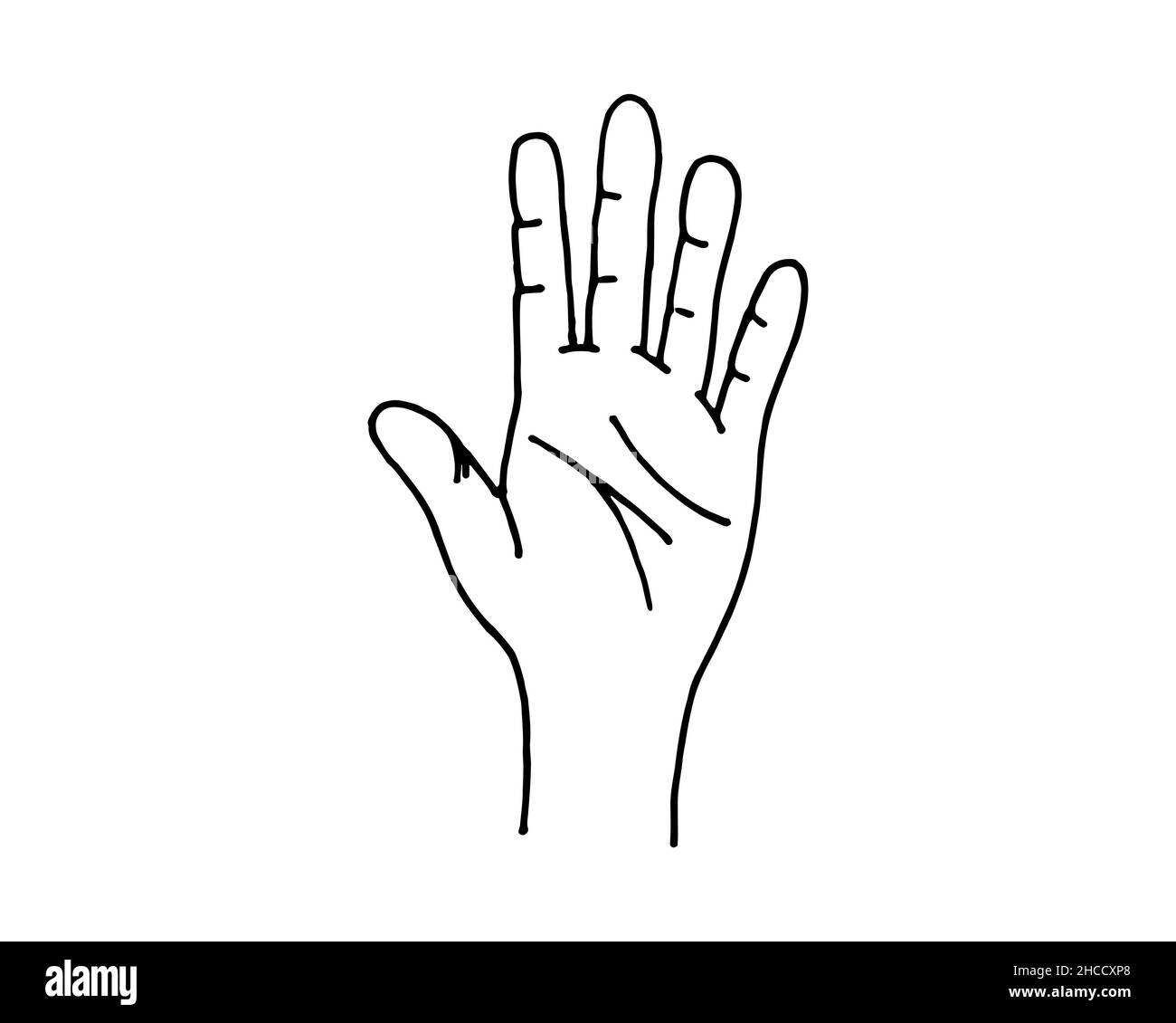Hand left palm sketch. Doodle line art vector isolated eps illustration ...