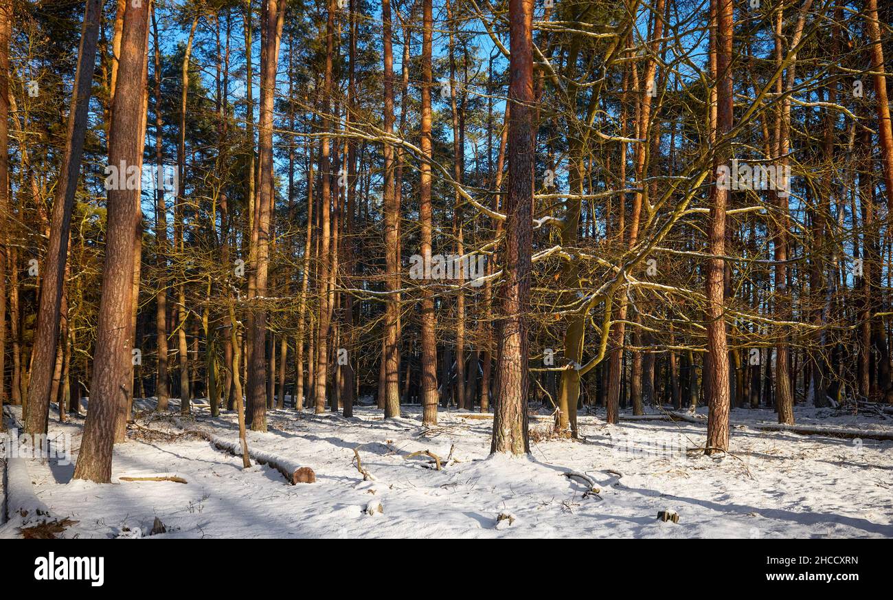 Cover with winter snow hi-res stock photography and images - Alamy