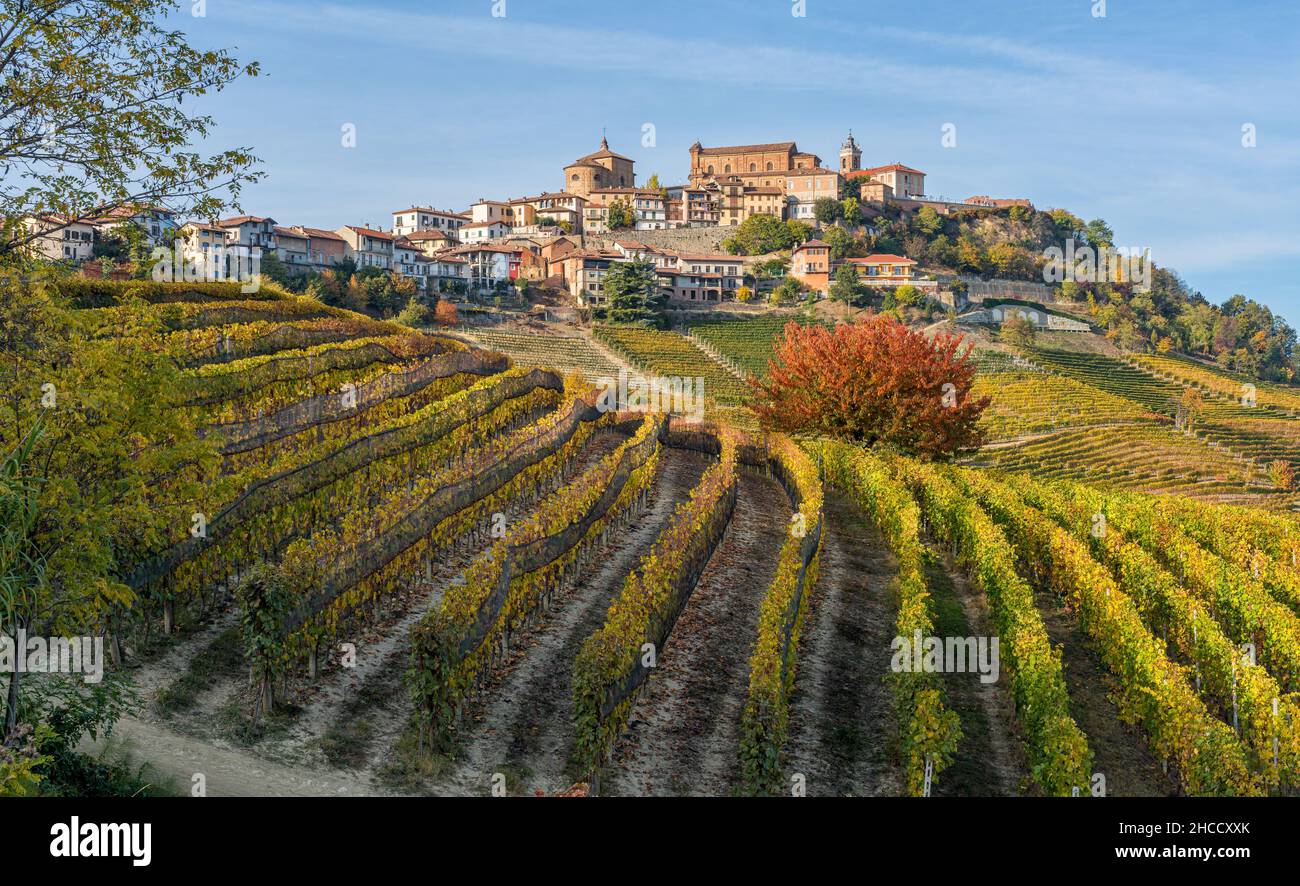 Beautiful hills and vineyards during fall season surrounding La Morra ...