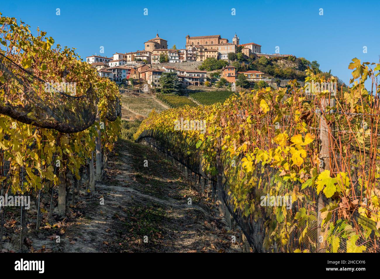 Beautiful hills and vineyards during fall season surrounding La Morra ...