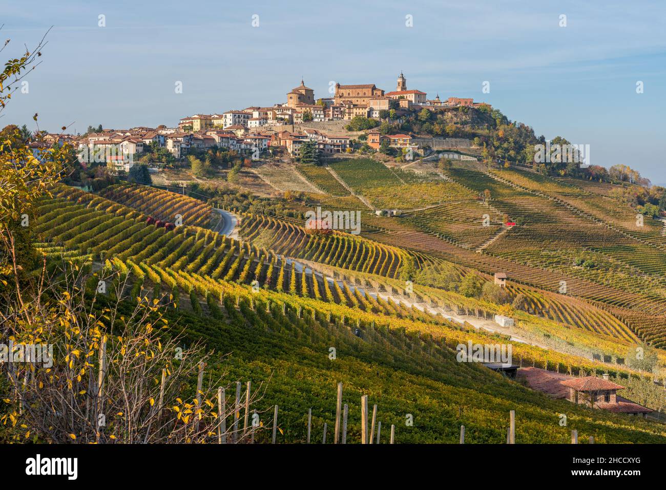 Beautiful hills and vineyards during fall season surrounding La Morra ...