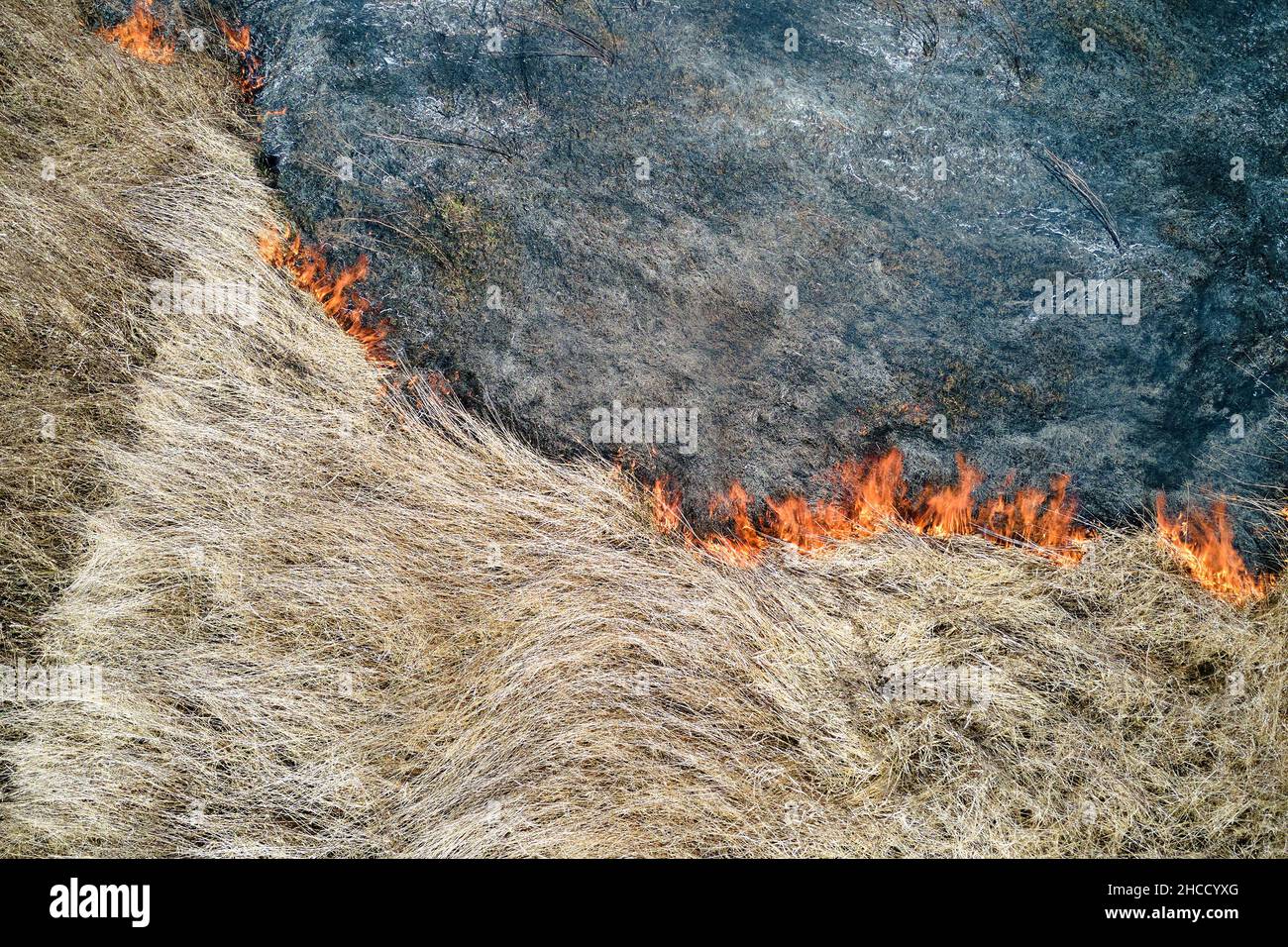 Aerial view of grassland field burning with red fire during dry season ...