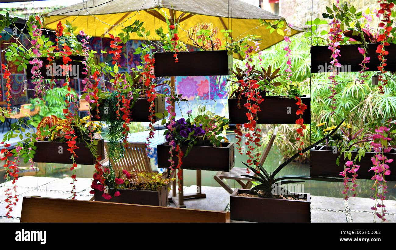 Hanging flowers cafe hi-res stock photography and images - Alamy