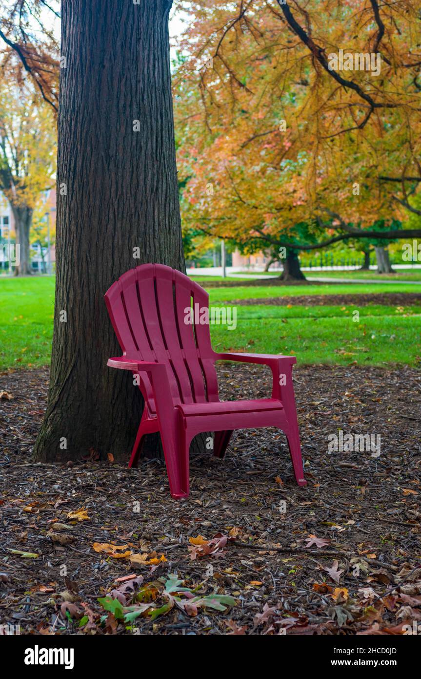 Red arm chair under a canopy of trees in the fall Stock Photo - Alamy