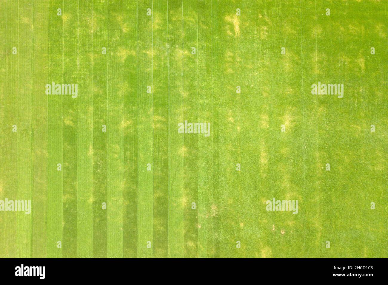Close up aerial view of surface of green freshly cut grass on football ...