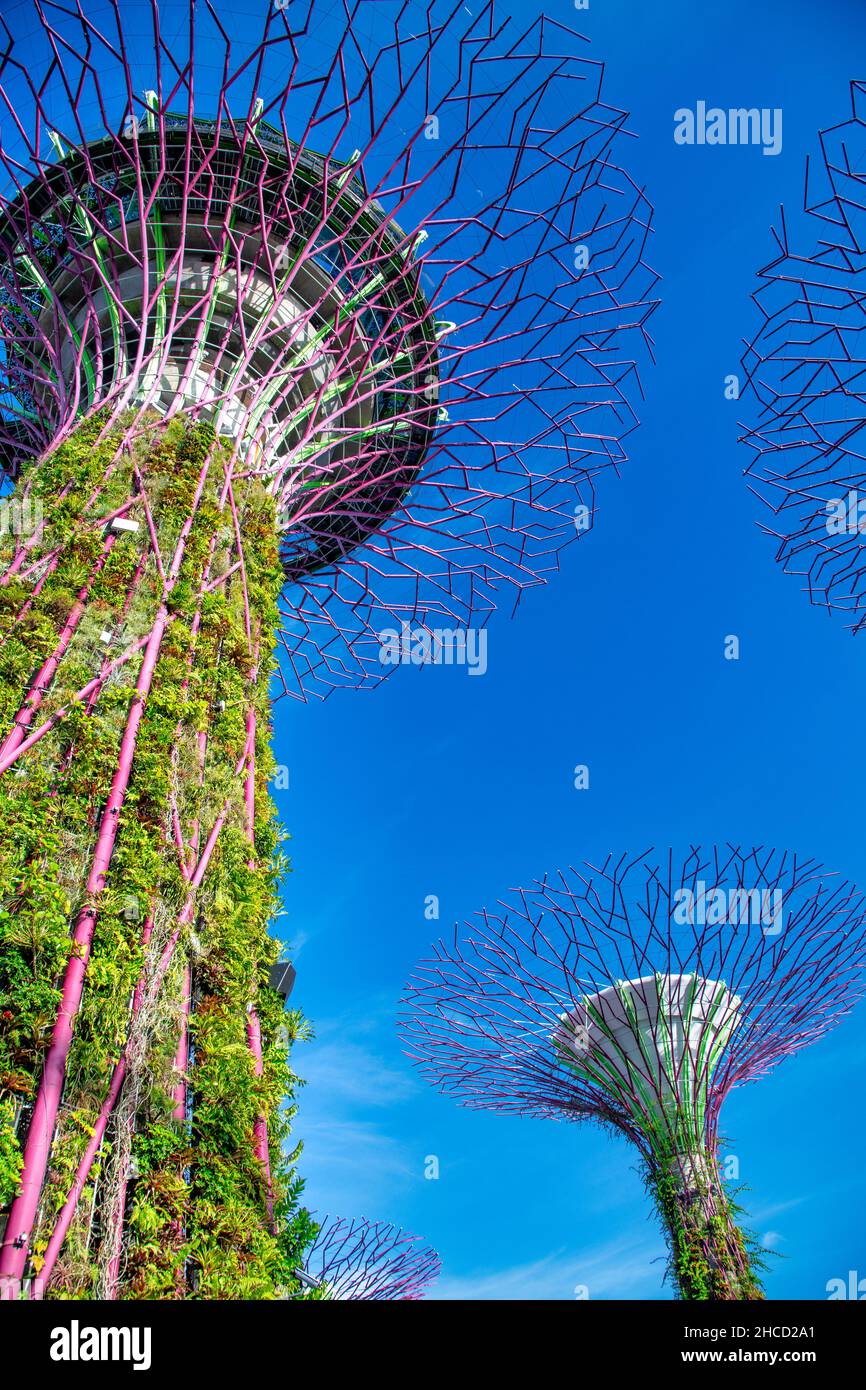 Bay city park hi-res stock photography and images - Alamy