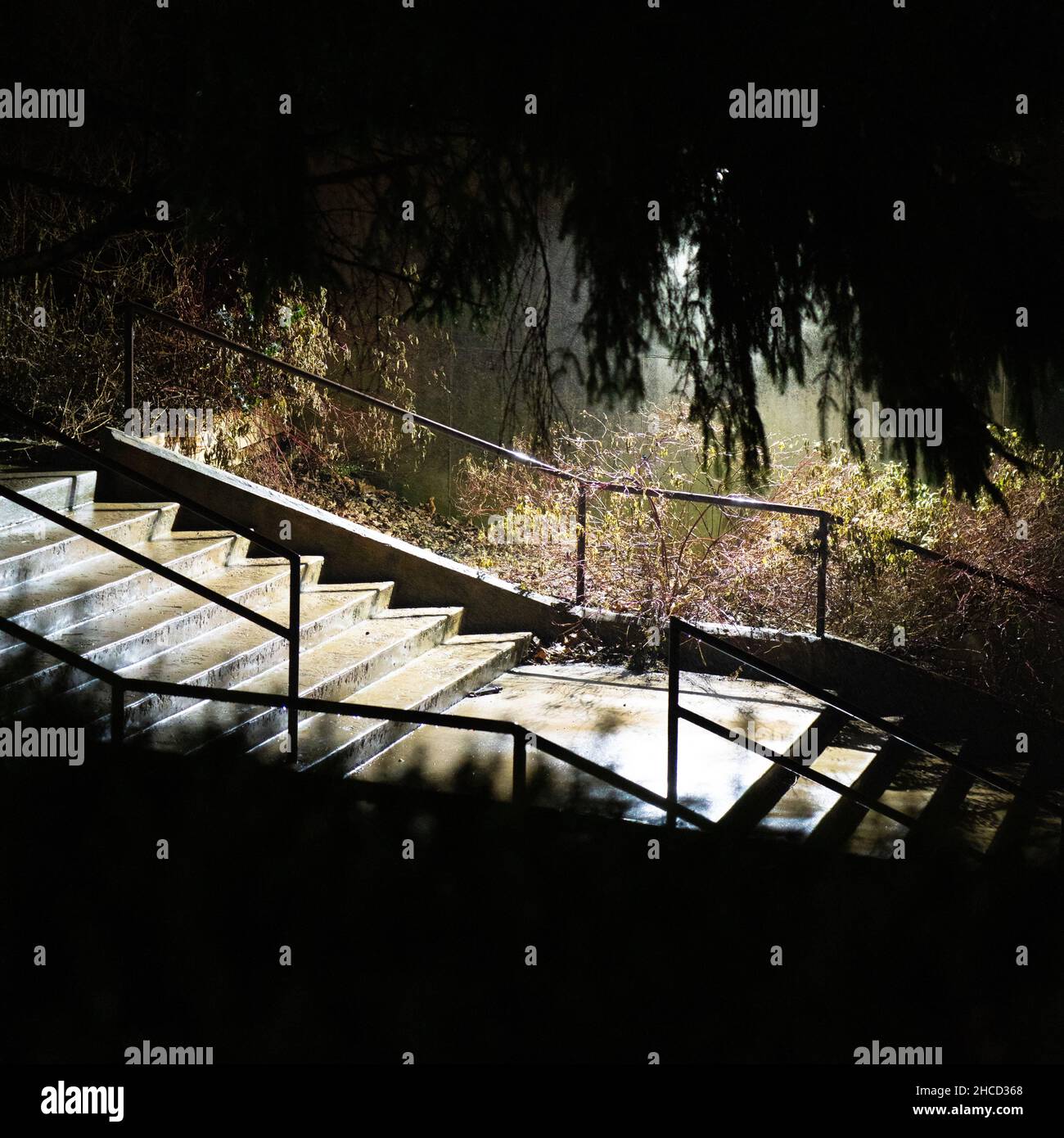 Shot of a stairs in a public park with sunlight from behind trees Stock ...