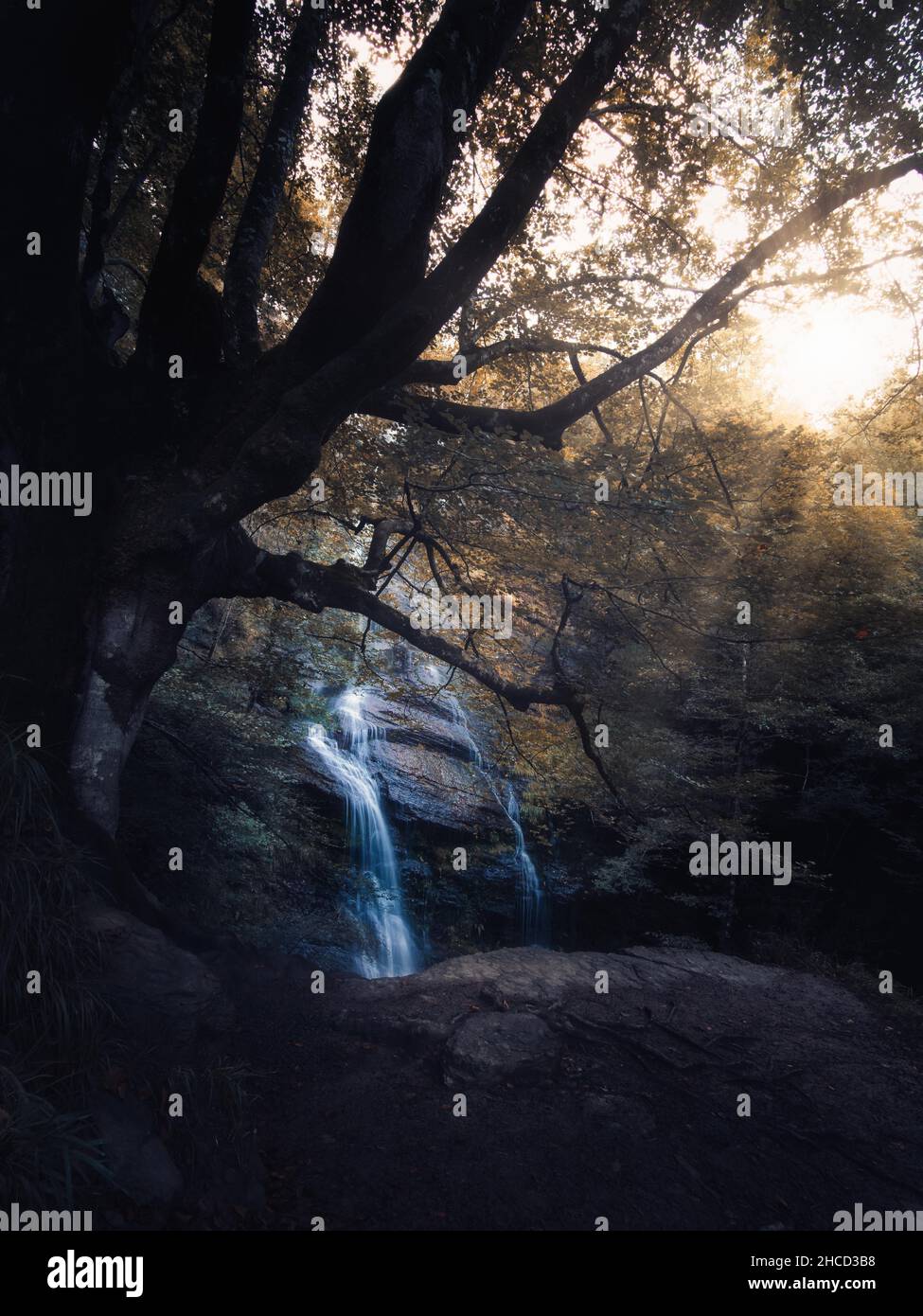 Beautiful view of a strong water stream in a forest Stock Photo - Alamy