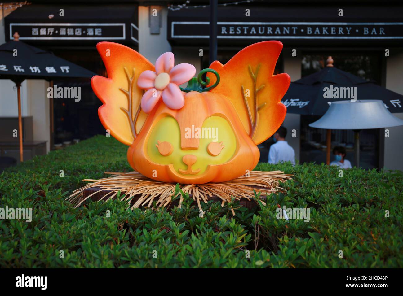 SHANGHAI, CHINA - NOVEMBER 3, 2021 - Children's princess dresses ...