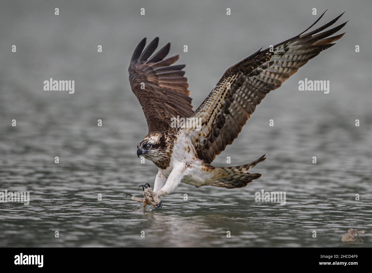 Flying liquid hi-res stock photography and images - Alamy