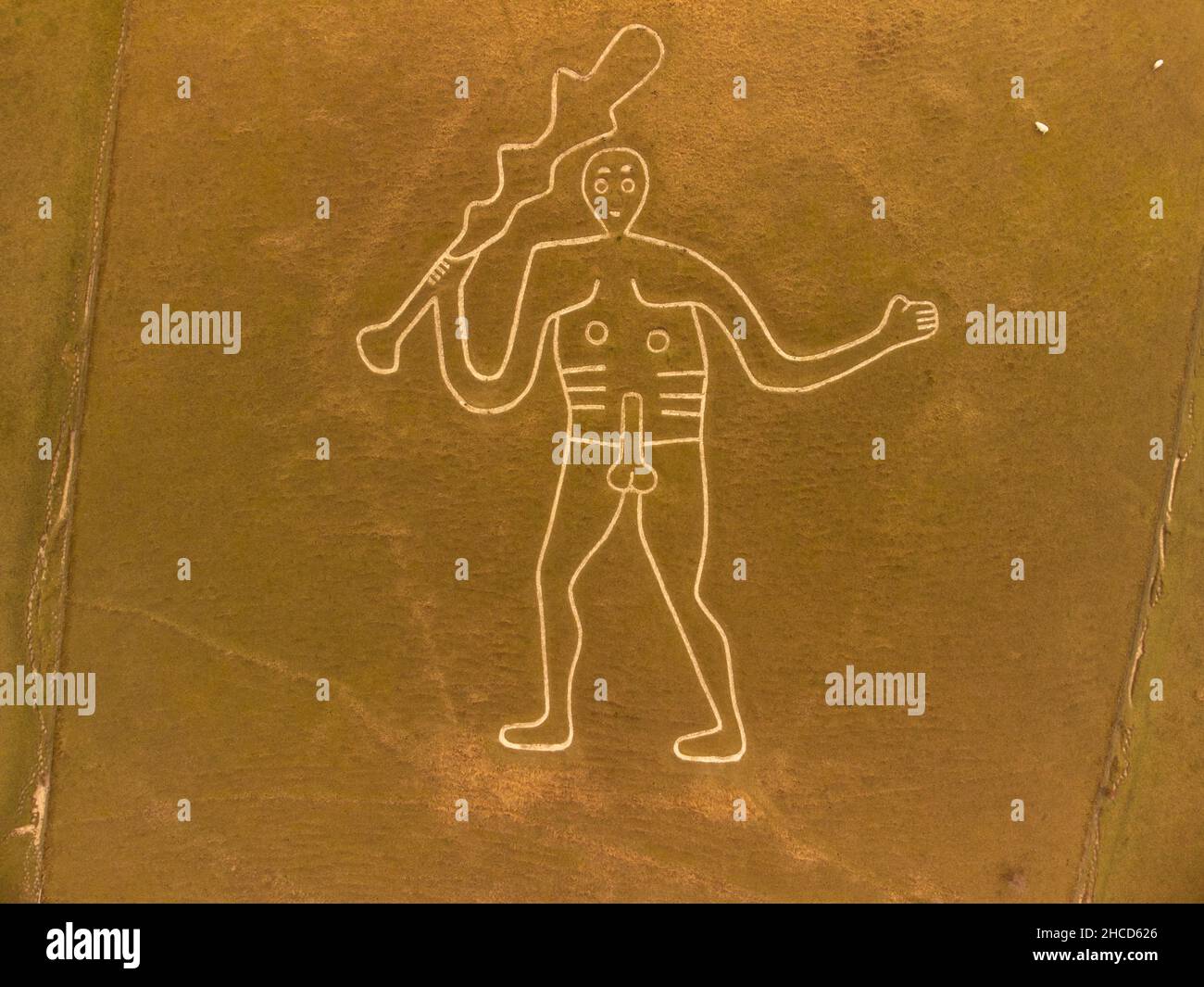 The Cerne Abbas Giant, Dorset Stock Photo - Alamy