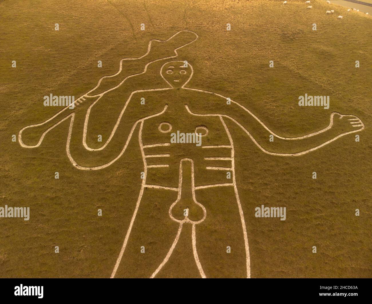 The Cerne Abbas Giant, Dorset Stock Photo - Alamy