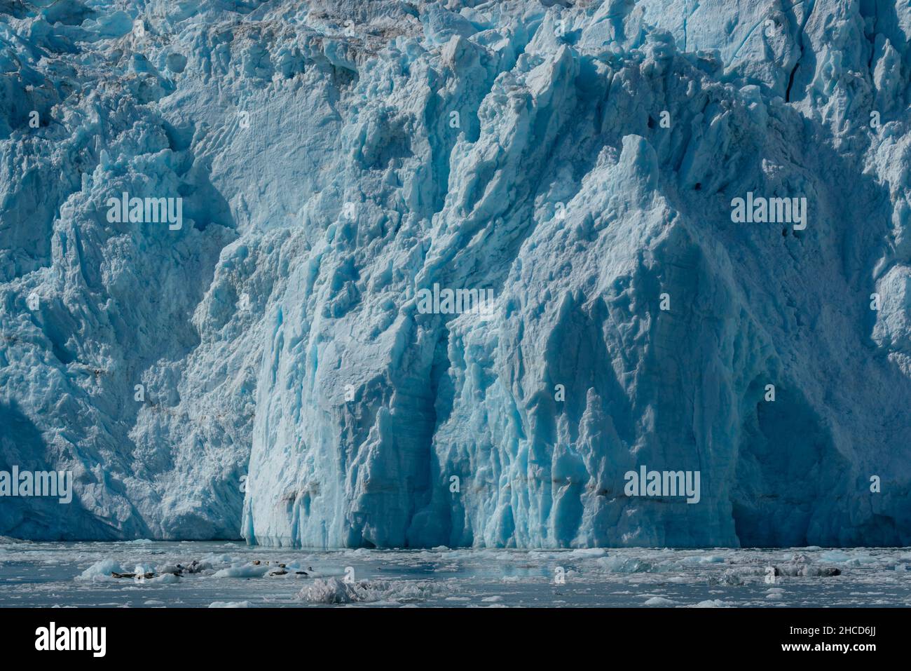 Chilling view of huge glaciers on a coast Stock Photo - Alamy