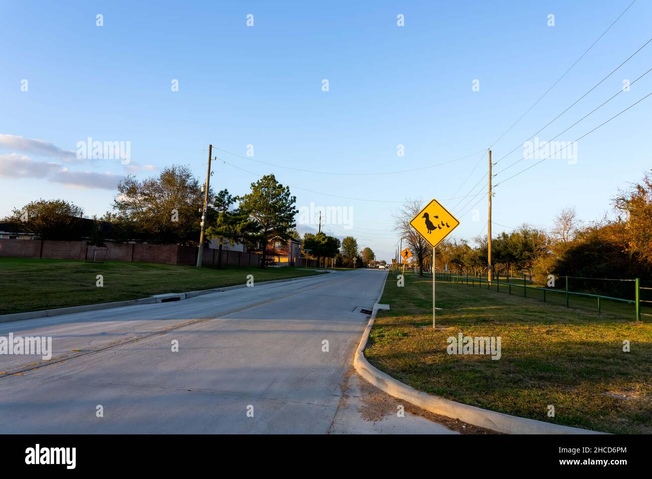 Duck zone warning sign shape of rhombus in back and yellow with duck ...